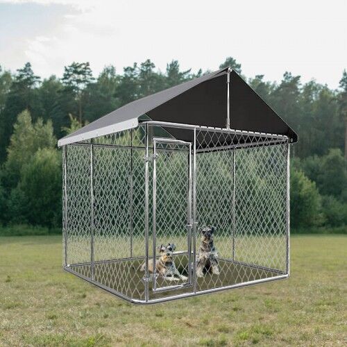 Dog Runs and kennels